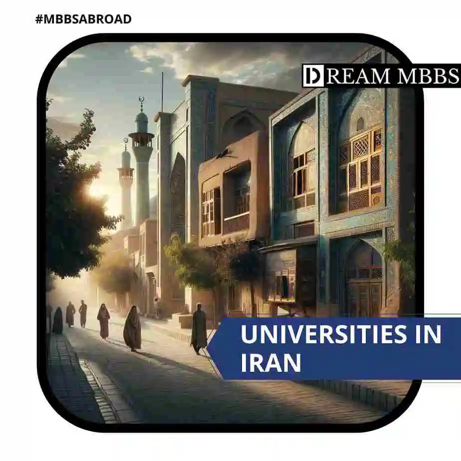 The top medical universities of Iran